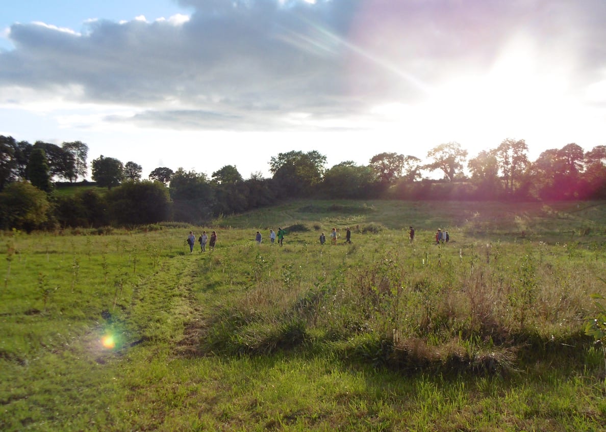 Flourishing new five hectare memorial wood created in Armagh city ...