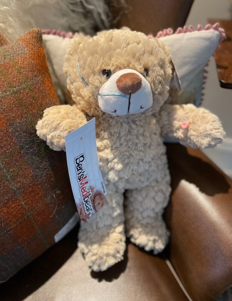 Donation delight for Banbridge company making teddy bears fitted with ...